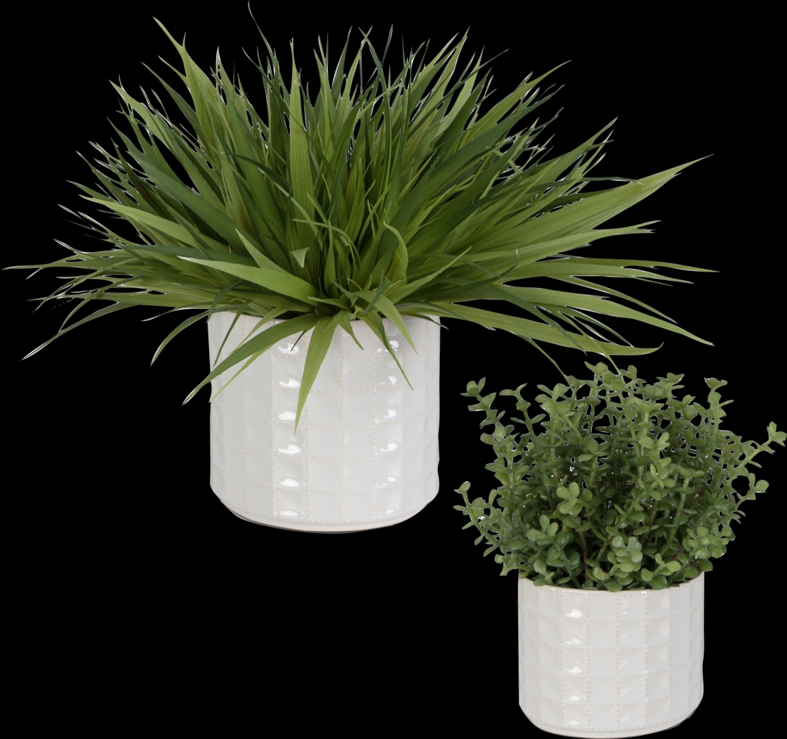 Farryn White Colors,White Plant, Set Of 2 | Rooms to Go